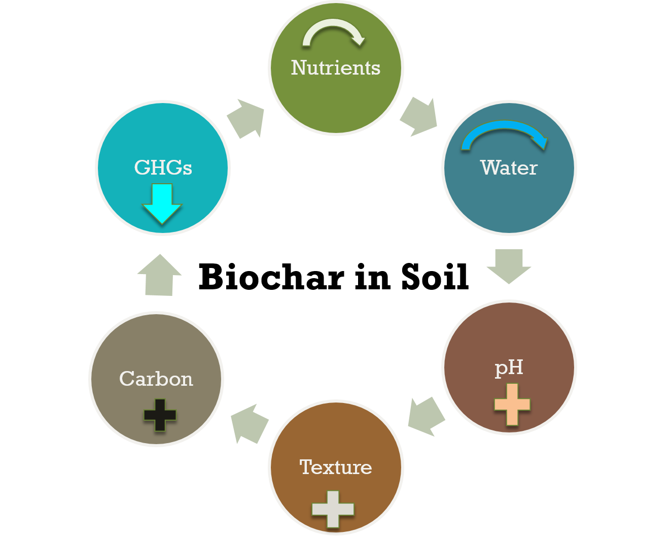 Building Carbon-Rich Soils the (Very) Old-Fashioned Way with Biochar ...
